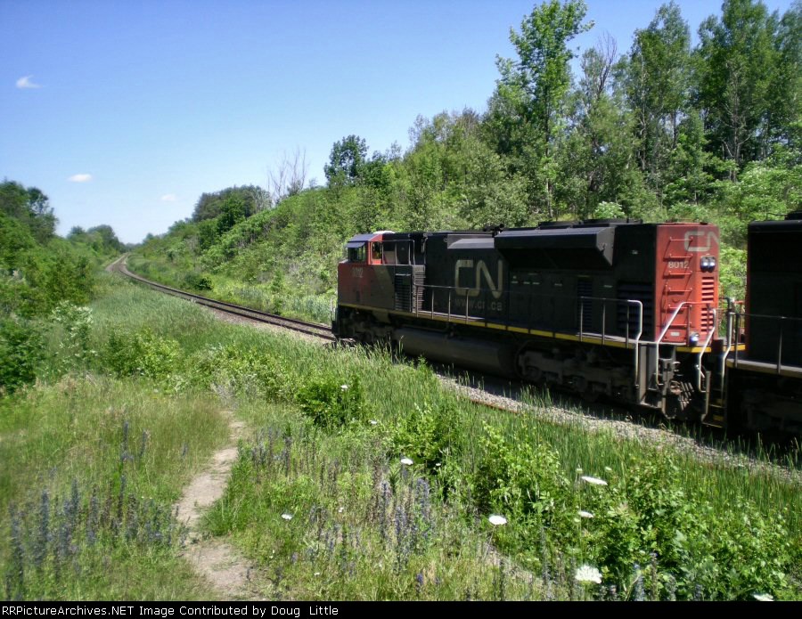 CN 8012